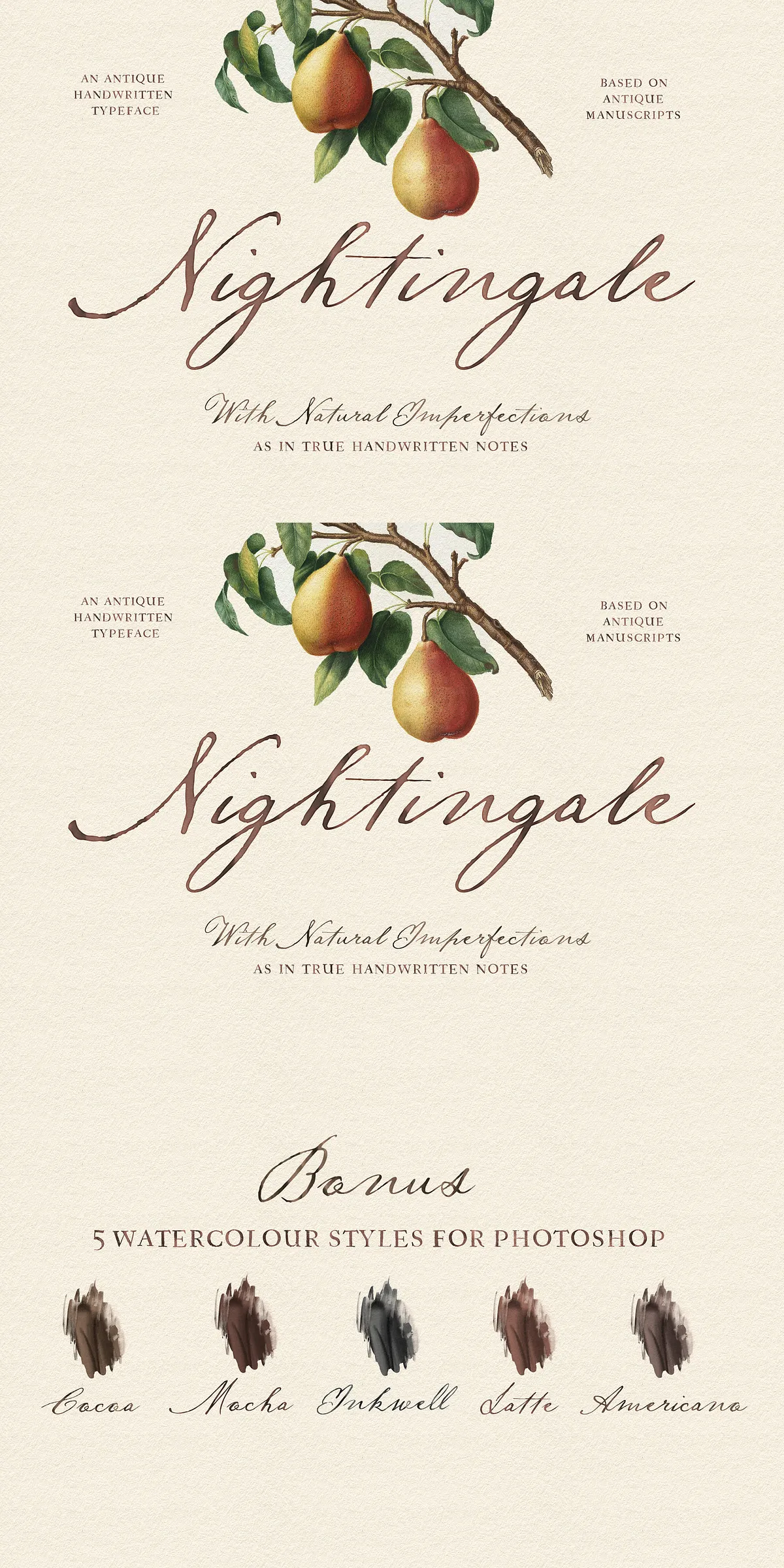 Nightingale Script - Inkytype - Type Design Resources