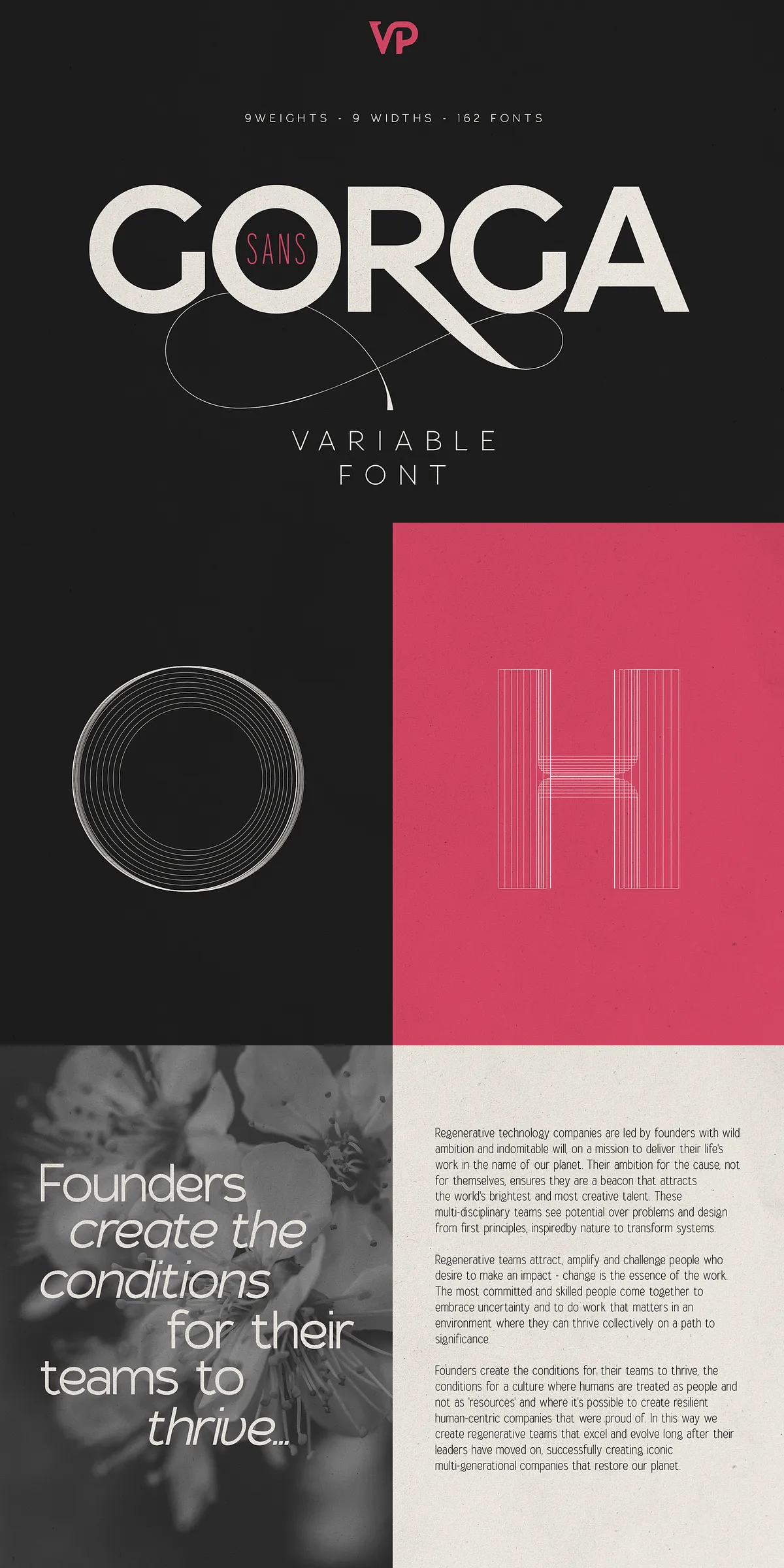 Gorga Sans - 162 fonts + variable - Inkytype - Type Design Resources